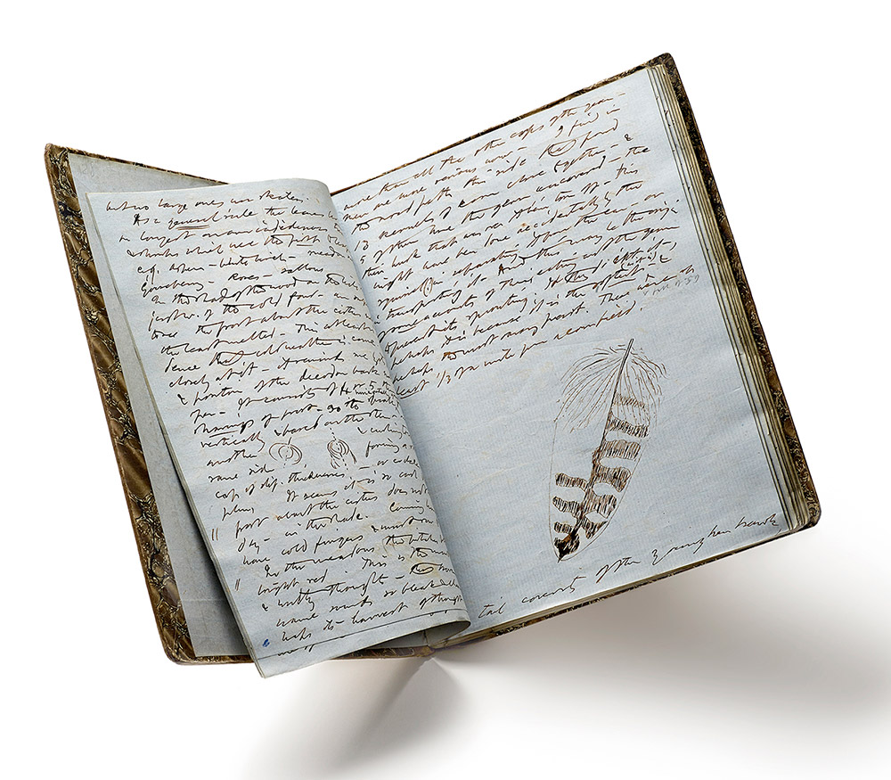 Overview – Henry David Thoreau’s Journal Drawings